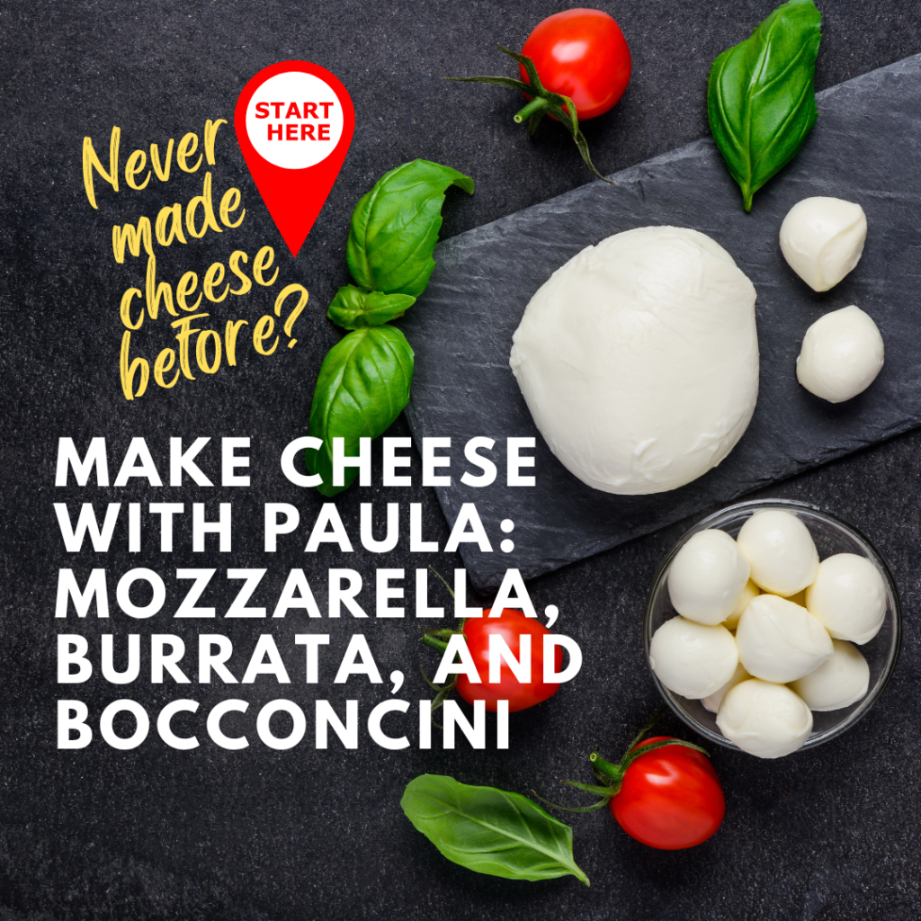 Start here! Make Cheese With Paula - Mozzarella and Bocconcini - Fraser ...